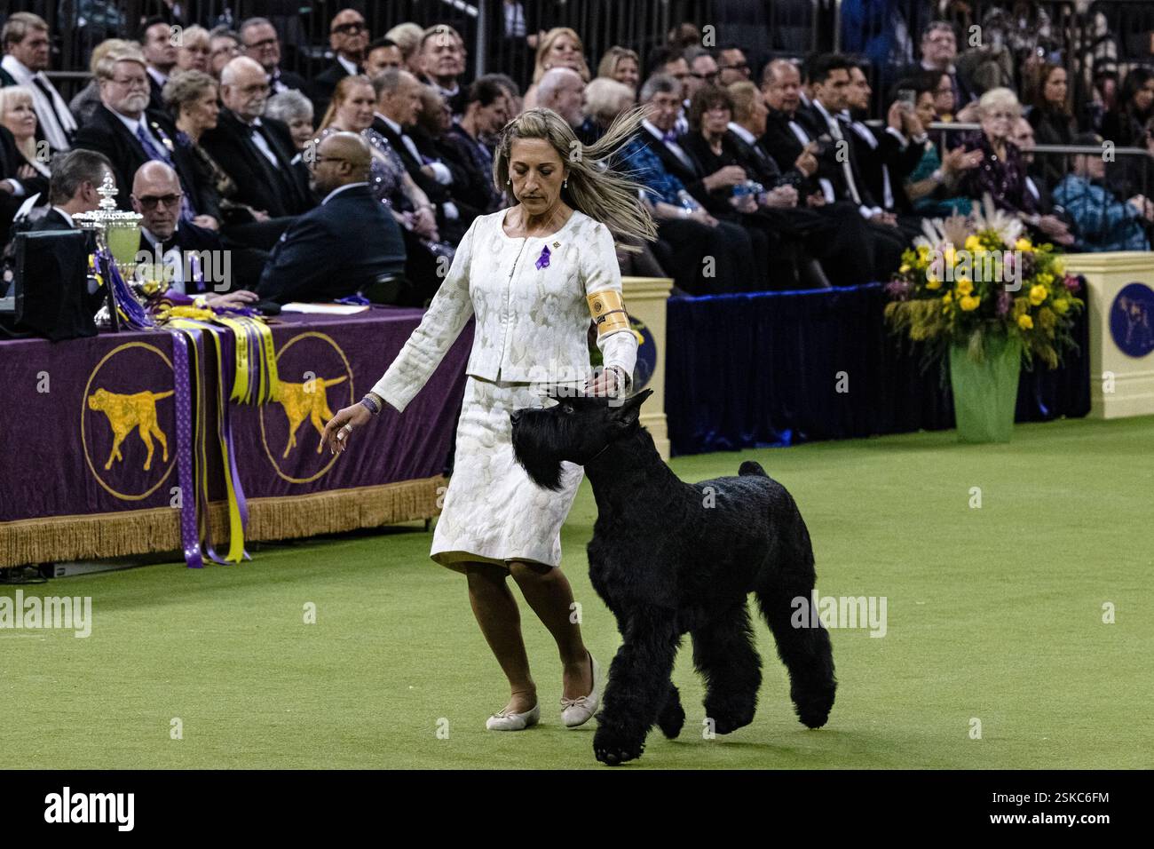 Monty, the Giant Schnauzer wins Best in Show with handler Kate Bernadin ...
