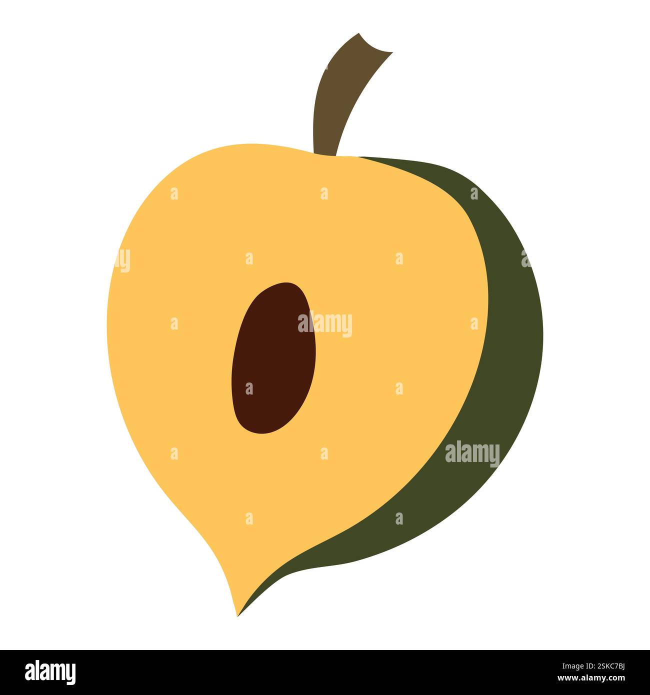 Useful fruit lucuma, lucuma cut half showing the seed inside Stock ...