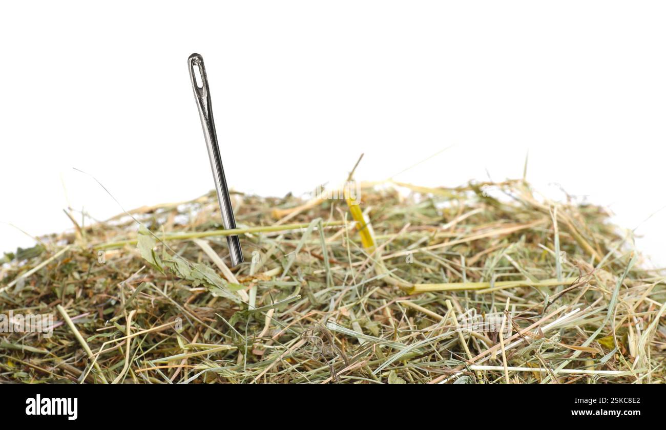 Sewing needle in haystack on white background Stock Photo - Alamy