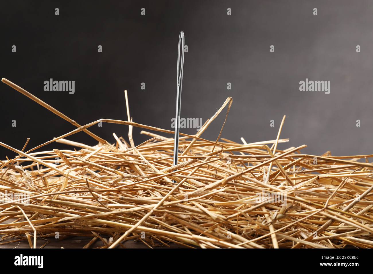 Sewing needle in haystack on dark background, closeup view Stock Photo ...
