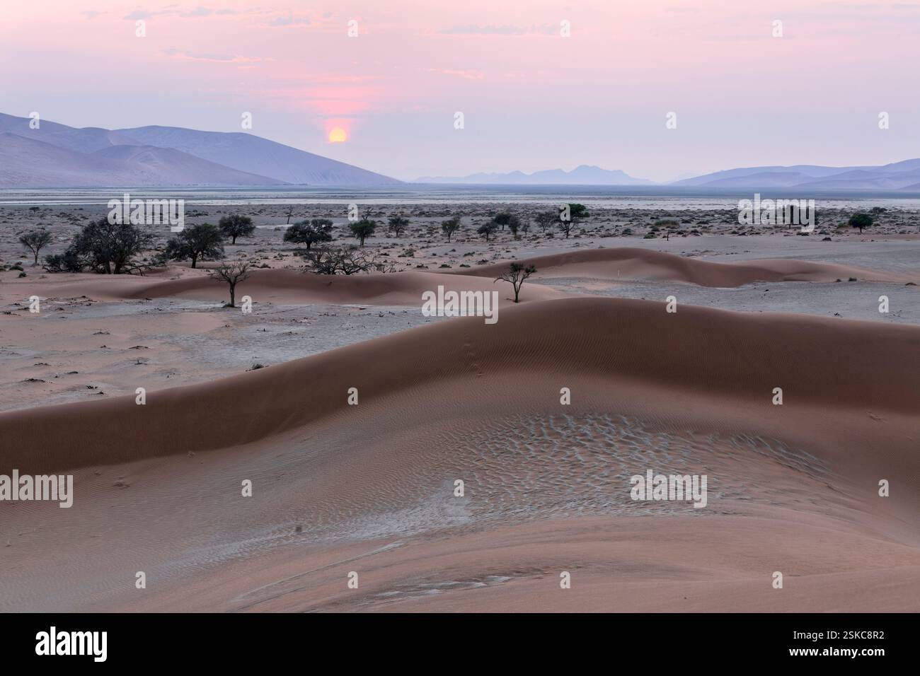 Namibia landscape with sand hills and dunes in Sossusvlei, Namib ...
