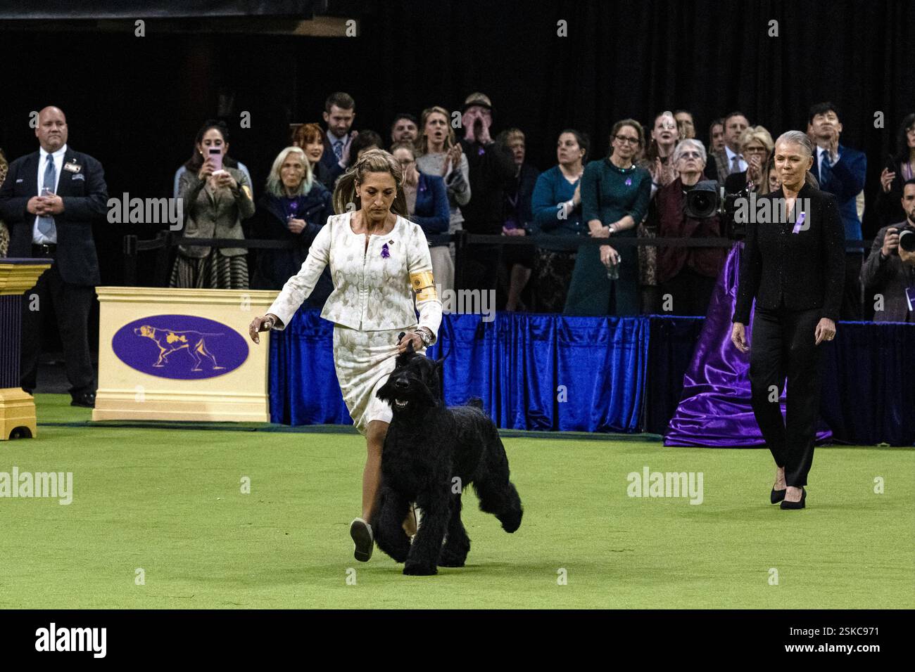 Monty, the Giant Schnauzer wins Best in Show with handler Kate Bernadin ...