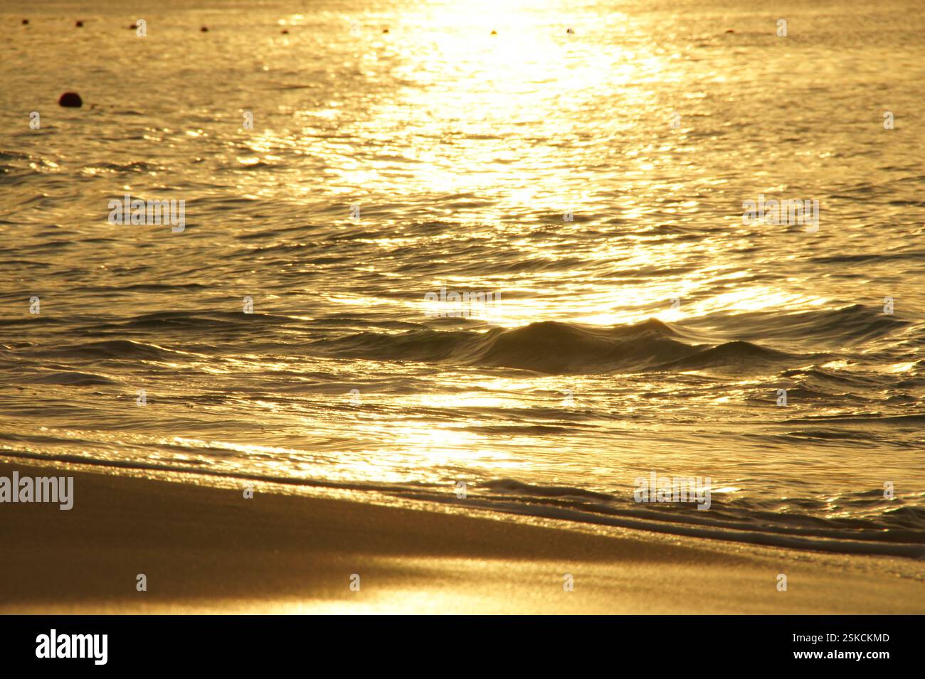 Golden waves lap the sandy shore at sunset in the Bahamas. The sun dips ...