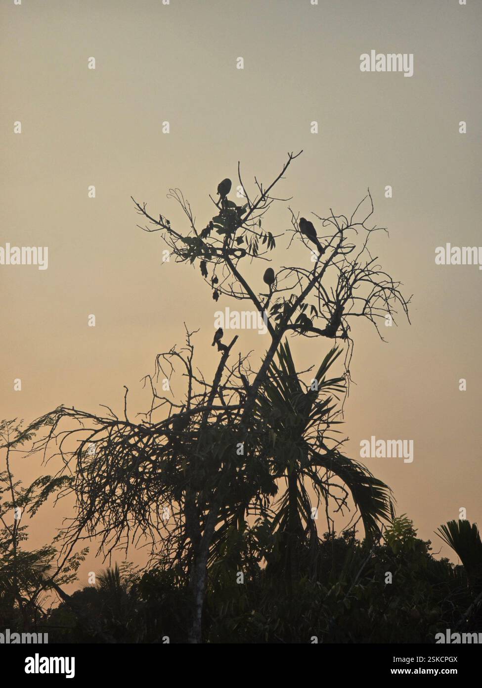 Sweetnature hi-res stock photography and images - Alamy