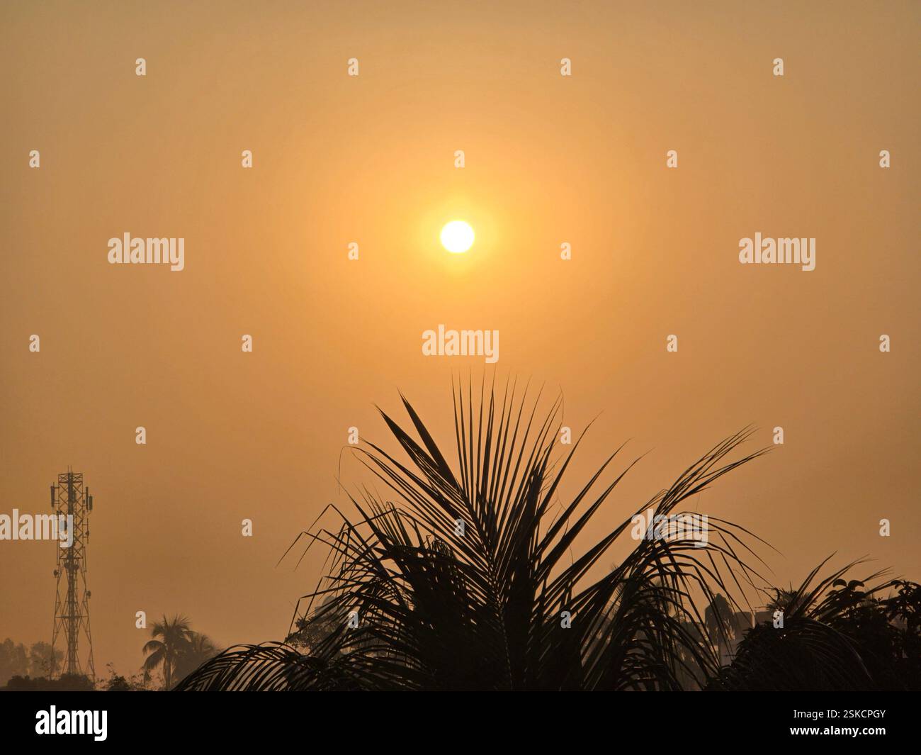 Sweetnature hi-res stock photography and images - Alamy