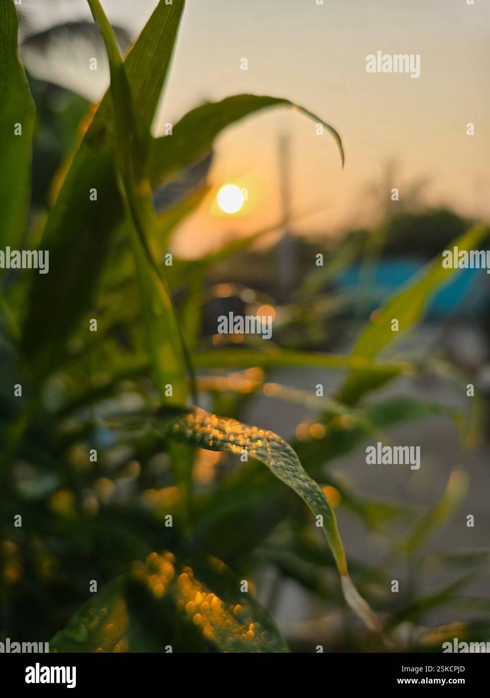 Random Sky Photography Stock Photo - Alamy