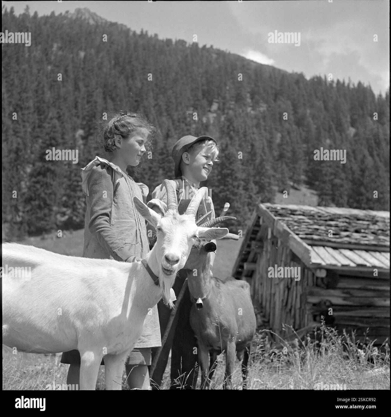 Regie: Luigi Comencini#Directed by Luigi Comencini--- Film "Heidi" 1952 ...