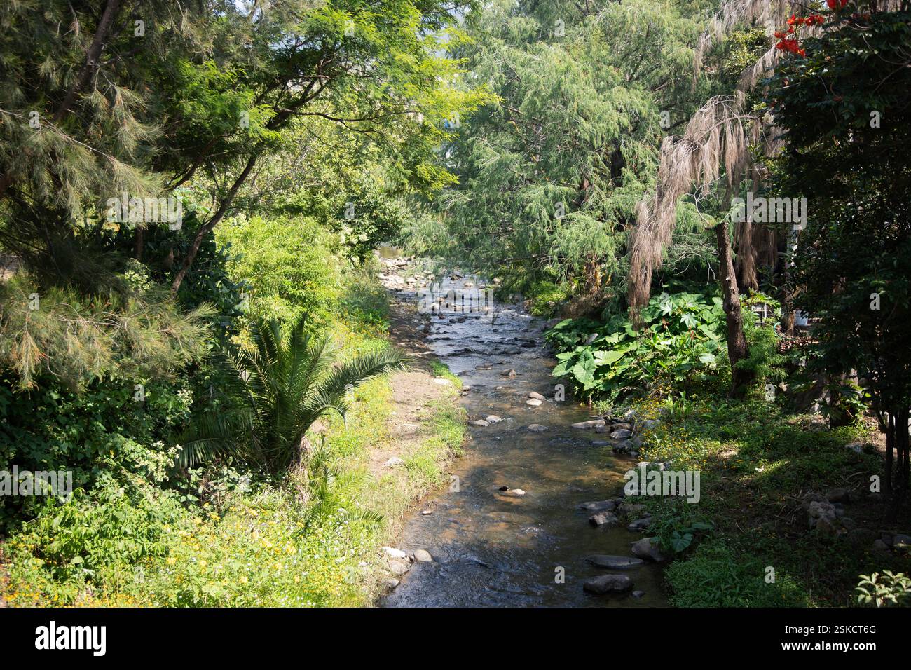 San Andres Huayapam, Mexico; 1st January 2025: Beautiful river in a ...