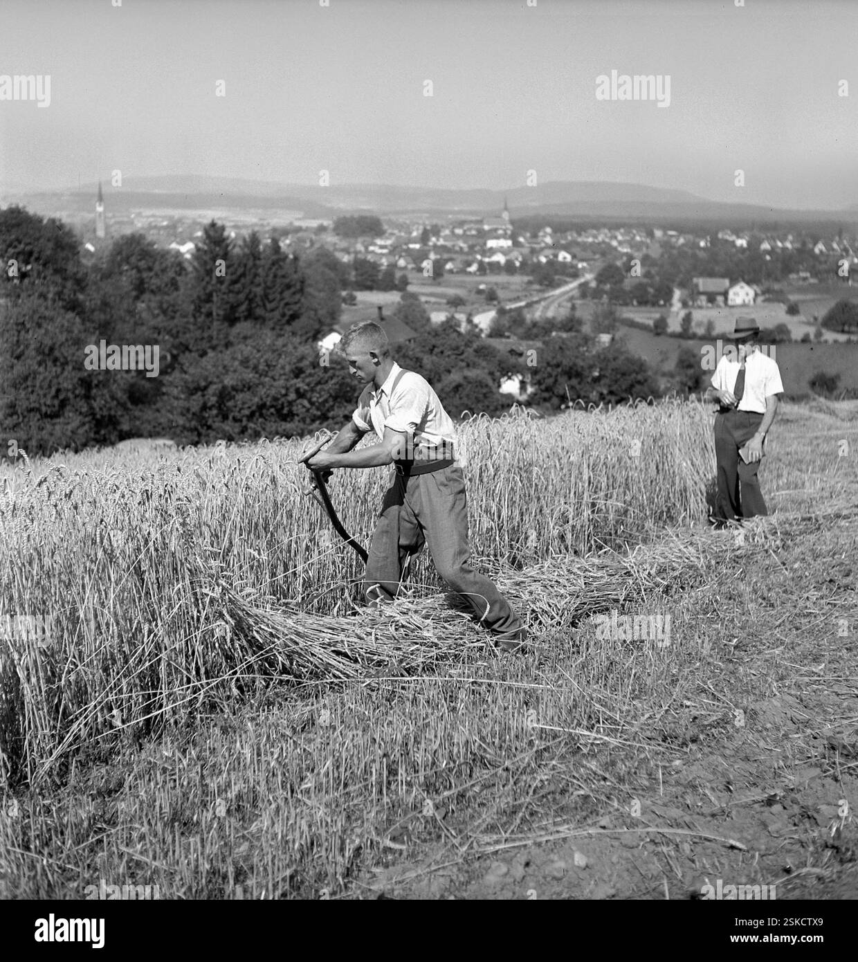 Getreideernte an der Bauernprüfung in Bülach 1945#Corn harvest at ...
