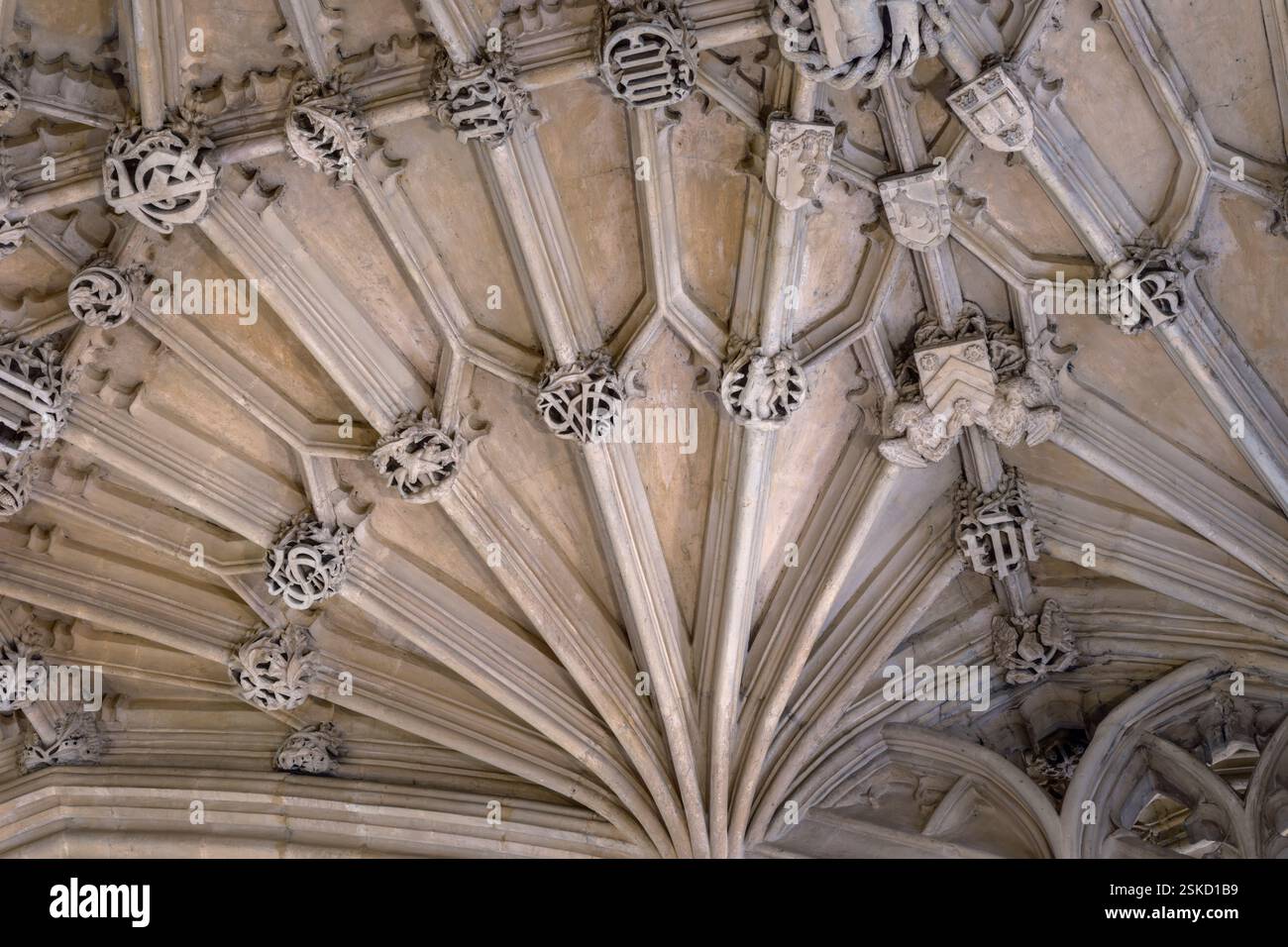 Oxford, England - A detail of some of the 455 ceiling bosses at the ...