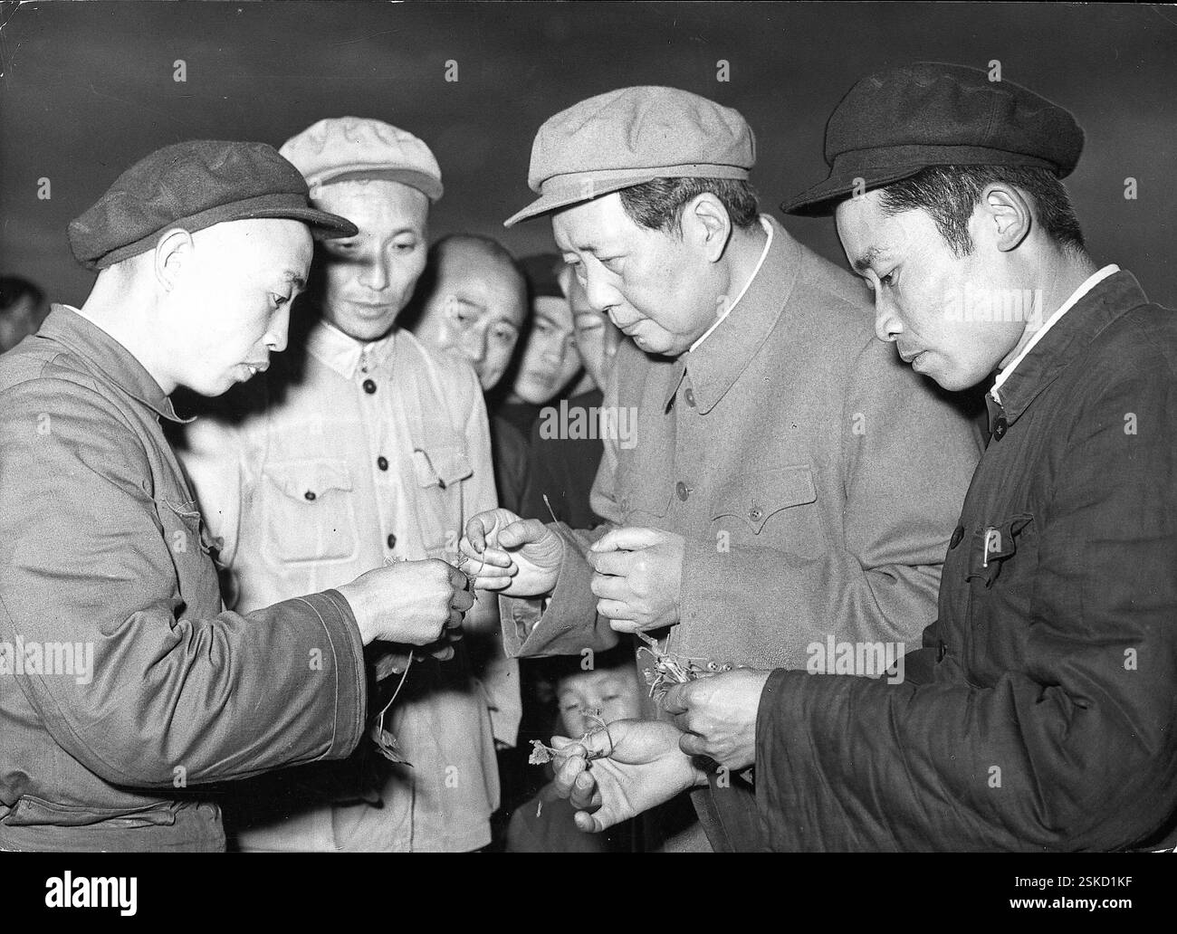 Ungeziefer Black and White Stock Photos & Images - Alamy