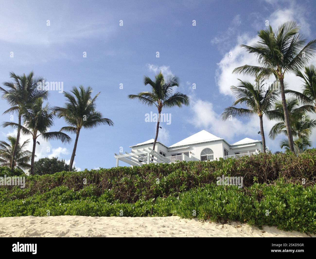 Beachfront House Bahamas. White walls, terracotta roof, palm trees ...