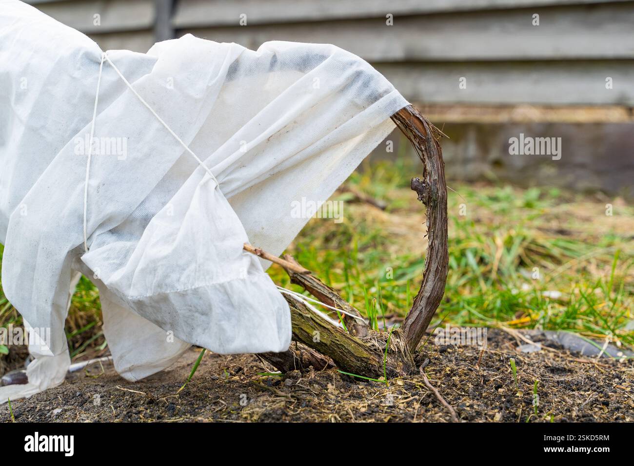 Wrapped in white agrofibre hi-res stock photography and images - Alamy