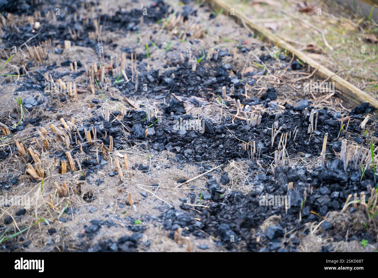 Fertilizing method hi-res stock photography and images - Alamy
