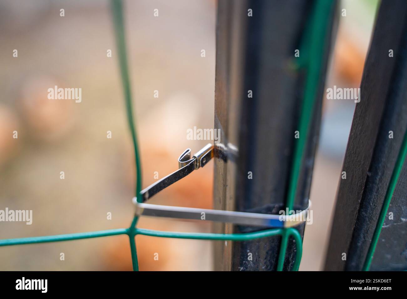 Iron tie for fence mesh. Fastening green mesh to metal profile close-up ...