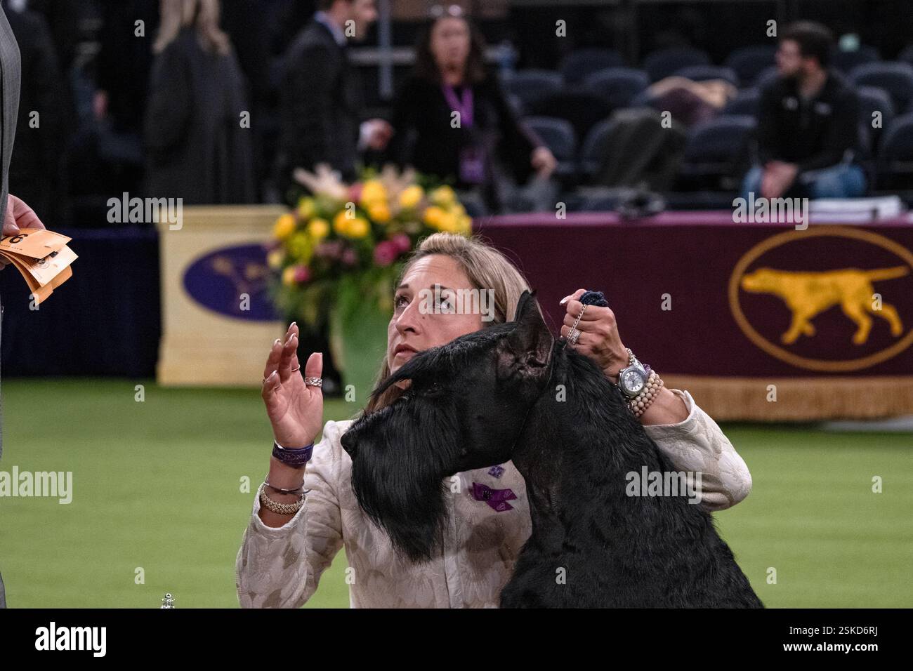 Monty, the Giant Schnauzer wins Best in Show with handler Kate Bernadin ...