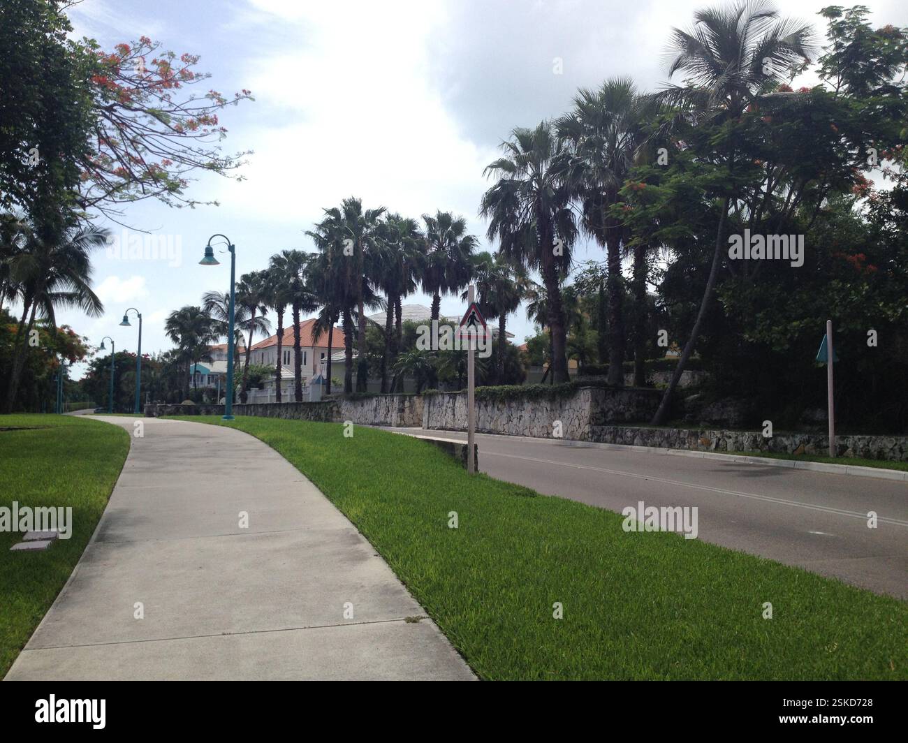 Tropical street, palm trees line the road, manicured lawns and white ...