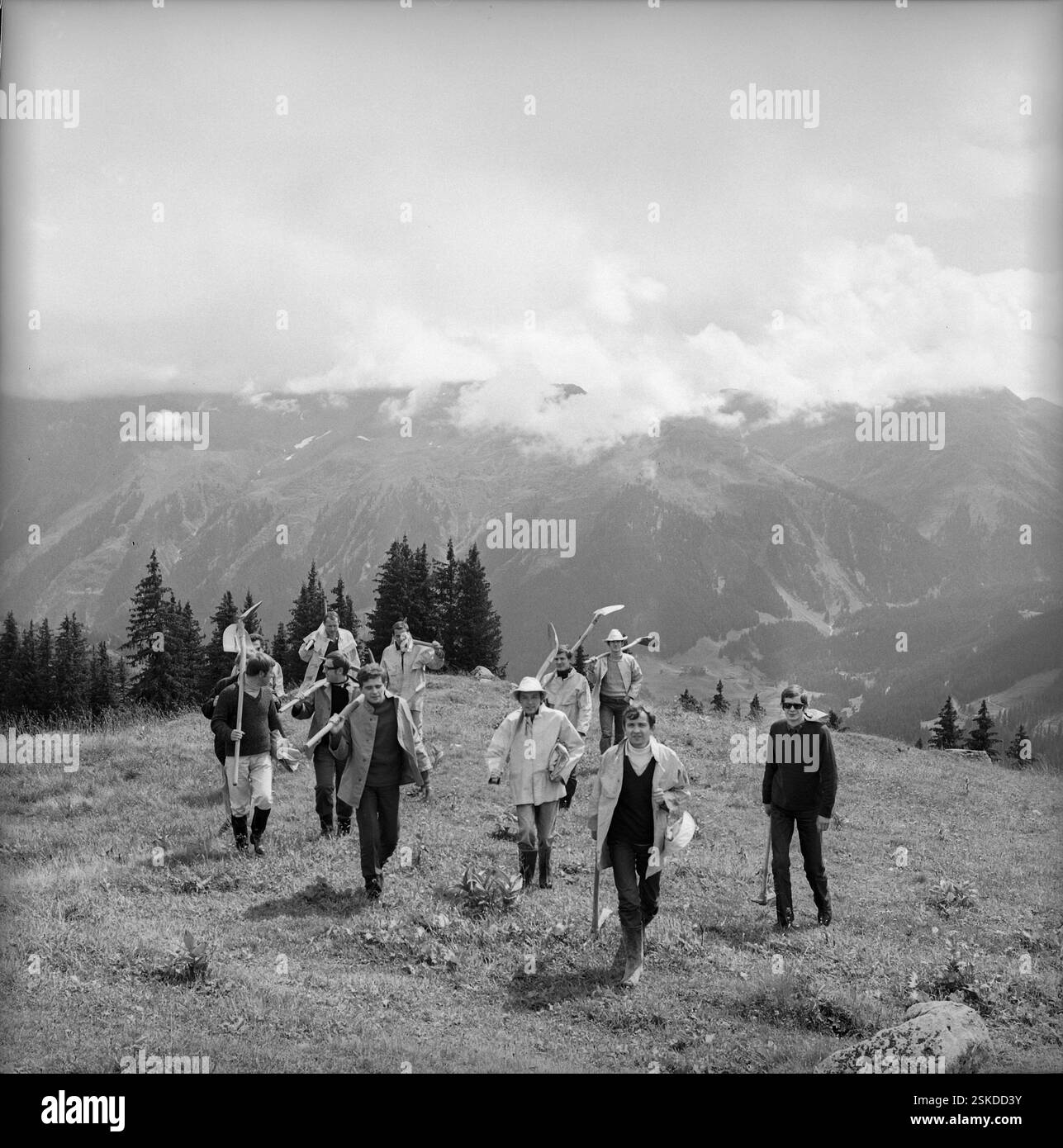 Polnische Studenten bauen einen Weg#Polish students are building a ...