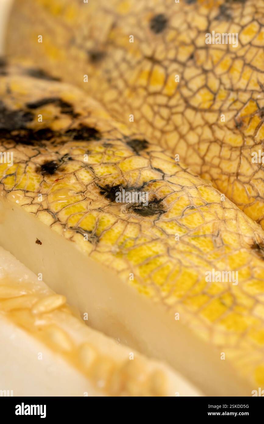 melon with black spots from mold and mildew closeup, spoiled food ...