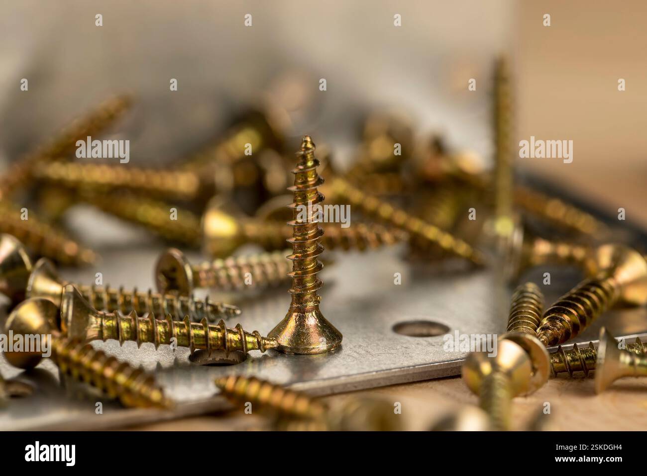 Closeup self drilling screws hi-res stock photography and images - Alamy