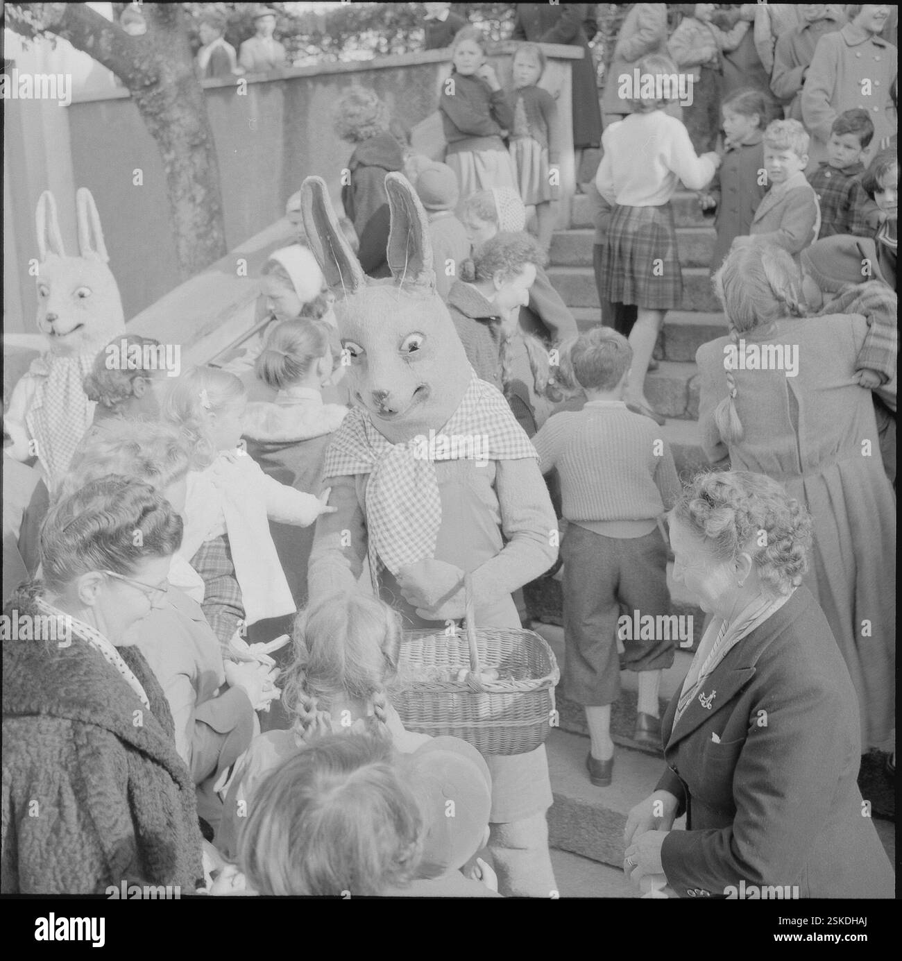 Beim Eier verteilen # distributing eggs #--- Der Osterhase in Unterseen ...