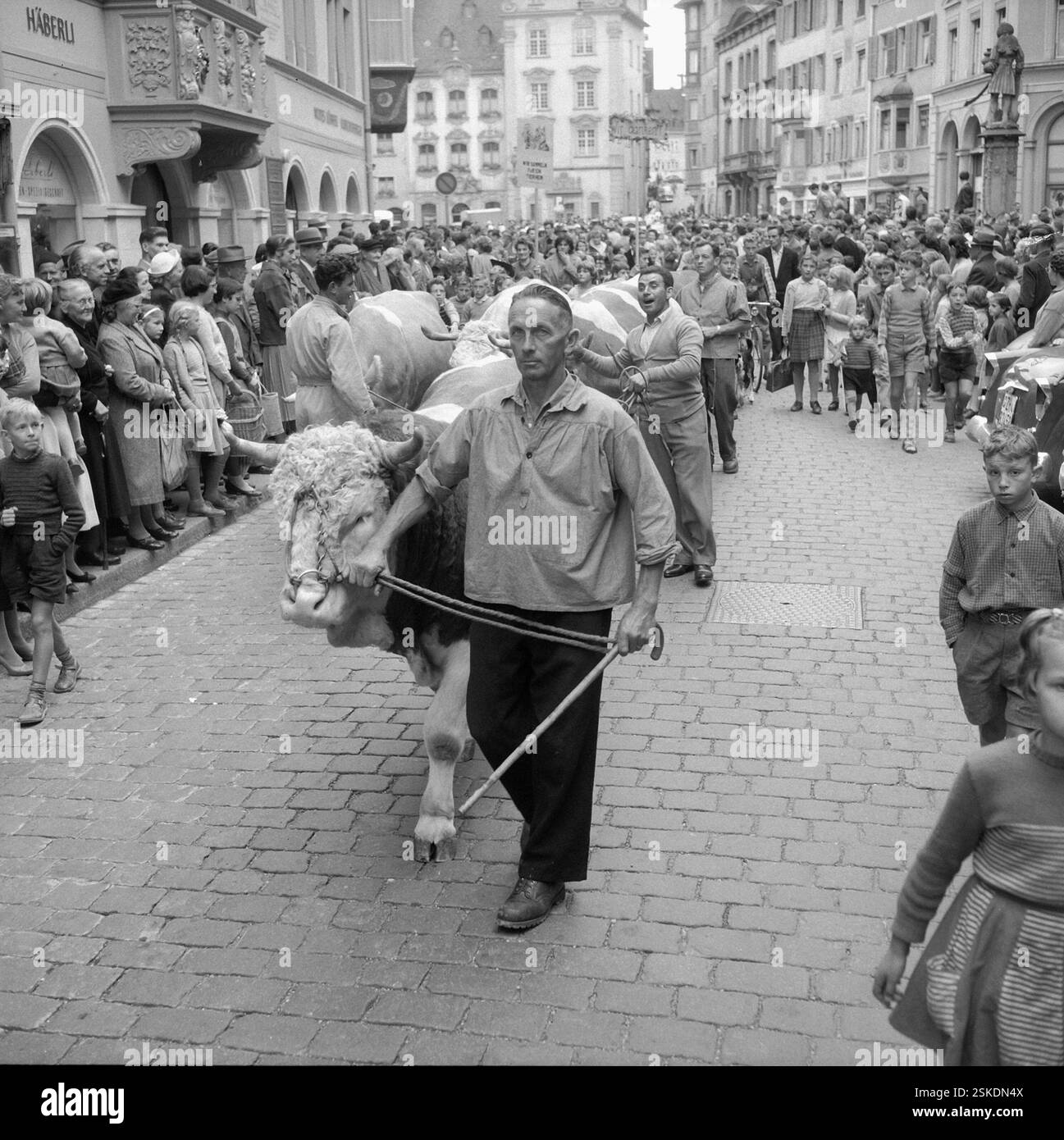 Bauer mit seinem Muni # Farmer with his bull #--- Umzug zum Welt ...
