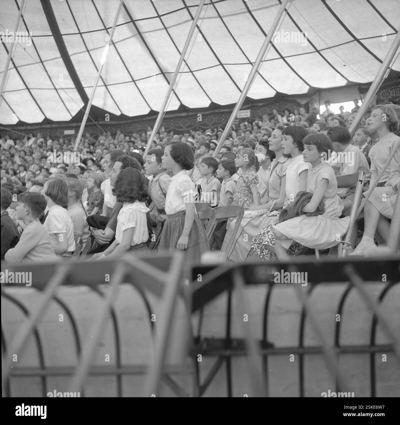 Kinder in einer Vorstellung des Zirkus Knie, Zürich 1958#Children ...