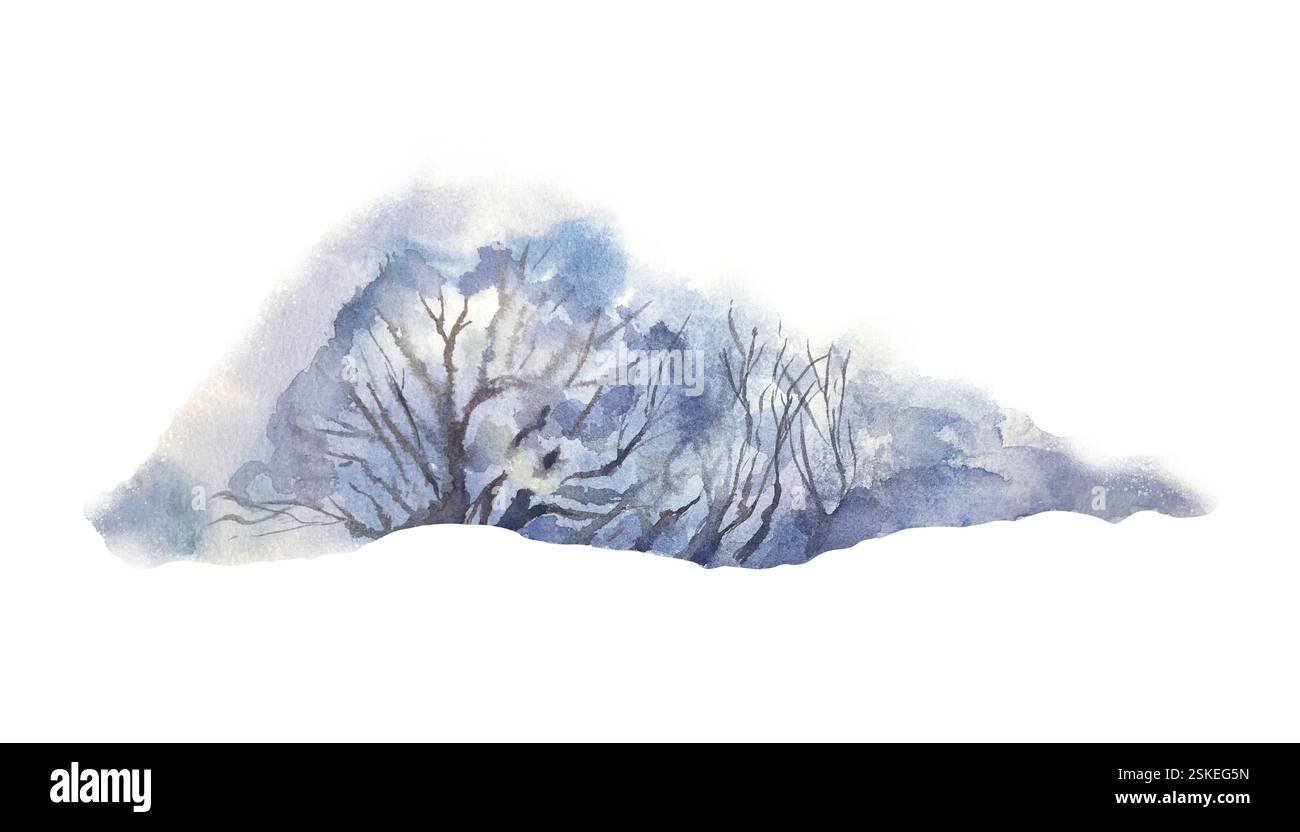 Trees covered with frost, winter landscape element. Hand drawn ...