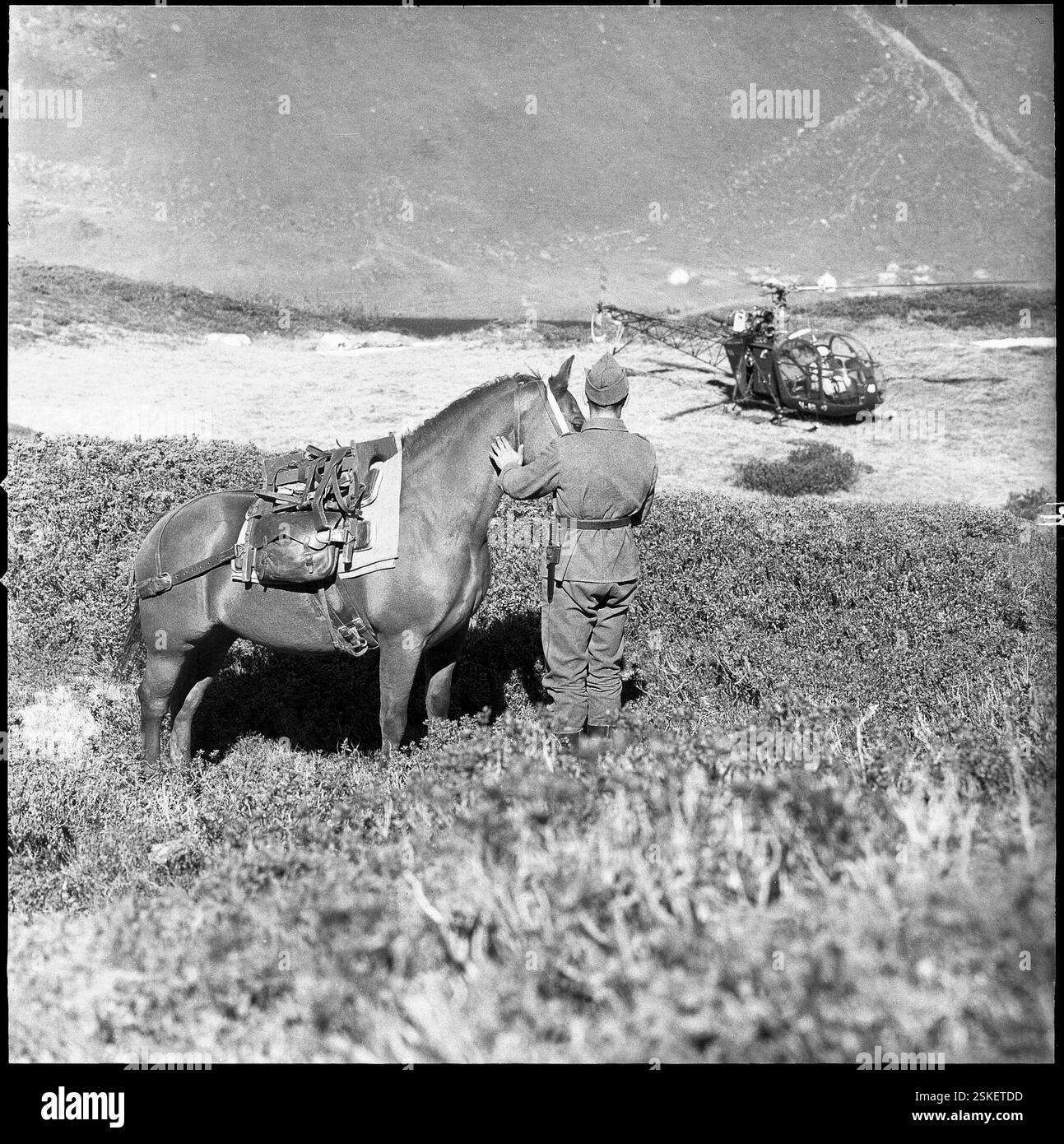 Soldat neben Pfer, Helikopter#Soldier beside horse, helicopter ...
