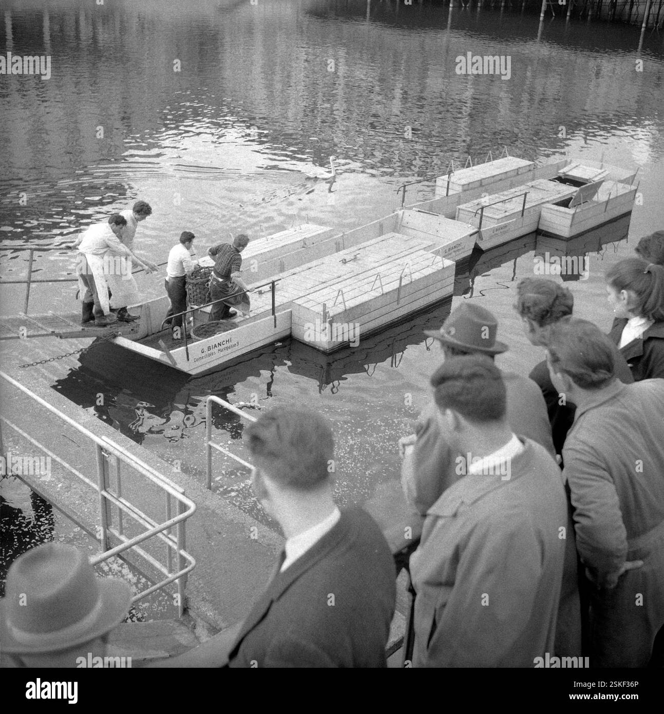 Fischhändler des Comestibles Bianchi am Limmatquai 1959#Fish dealer of ...