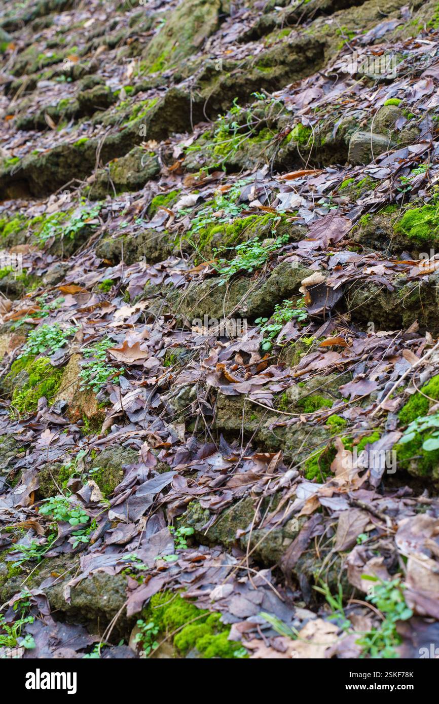 Growing plants in an ward winning new park in Warsaw. Ecological ...