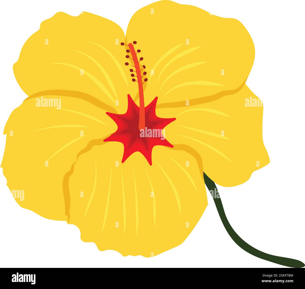 China mallow Stock Vector Images - Alamy