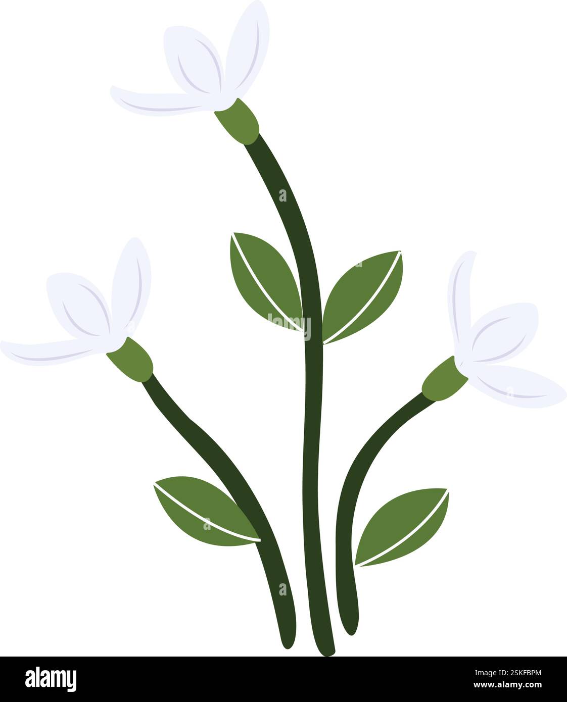 Snowdrop logo hi-res stock photography and images - Alamy