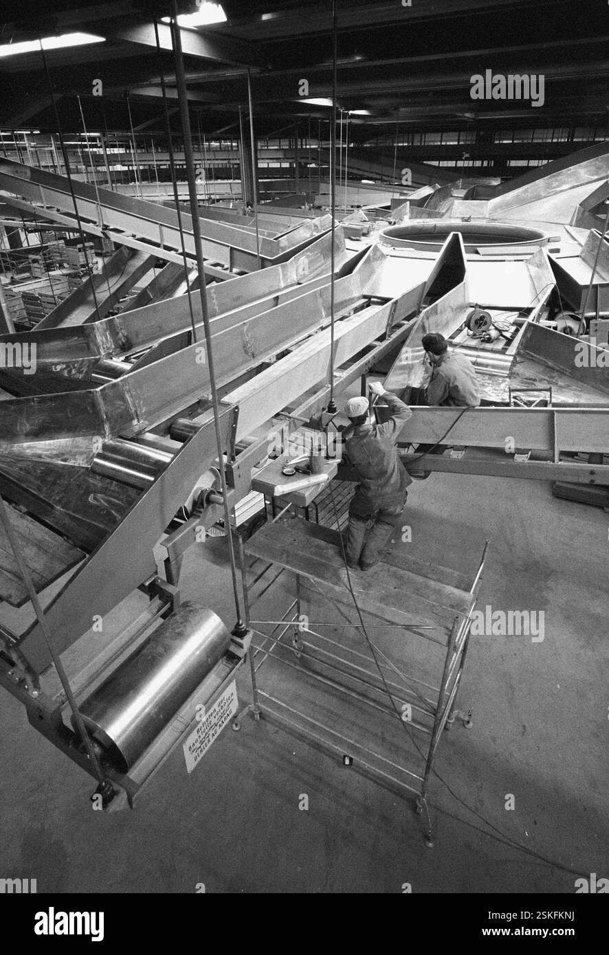 Schanzenpost Bern, Montage der Paket Sortieranlage, 1965#Porcel sorting ...