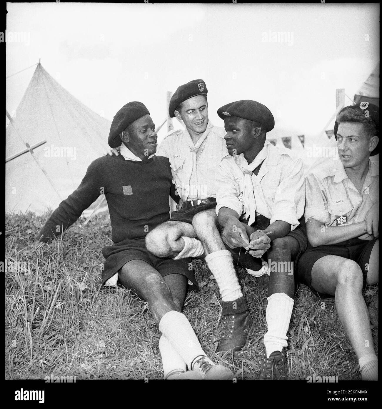 weisse und farbige Franzosen # white and coloured french Rover #--- Der ...