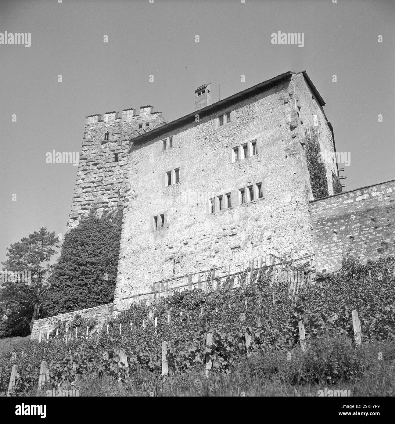 Schloss Habsburg, 1952#Habsburg Castle, 1952- RDB BY DUKAS Stock Photo ...