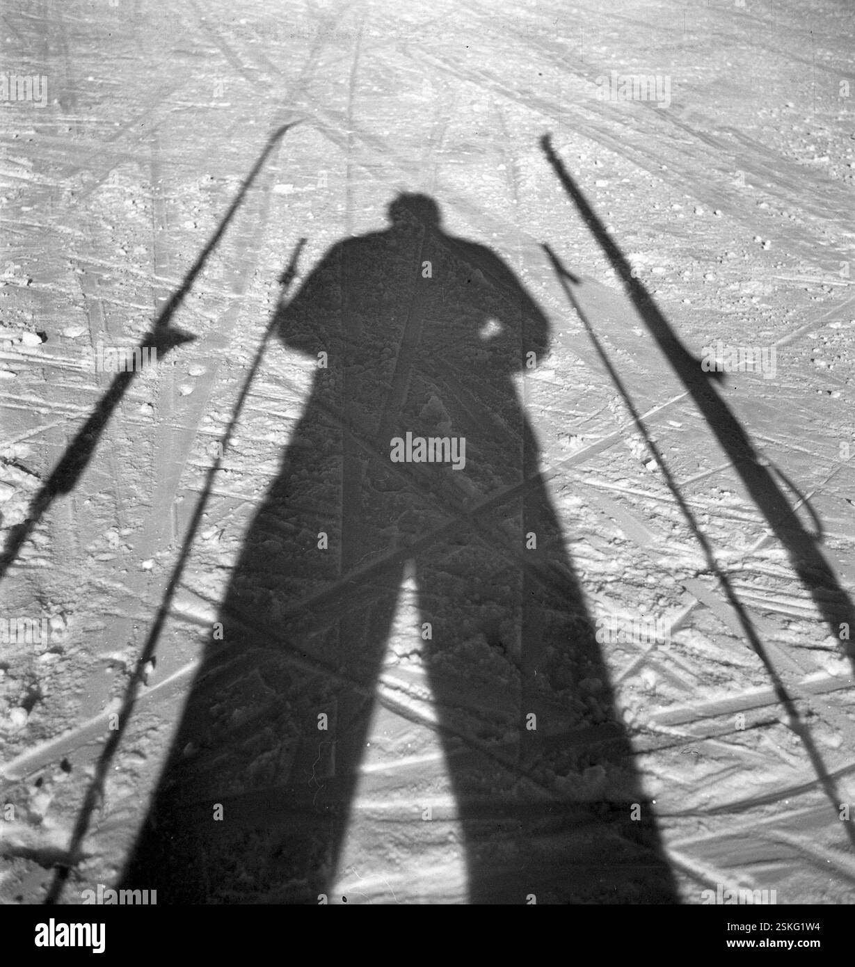 Person estimated date Black and White Stock Photos & Images - Alamy