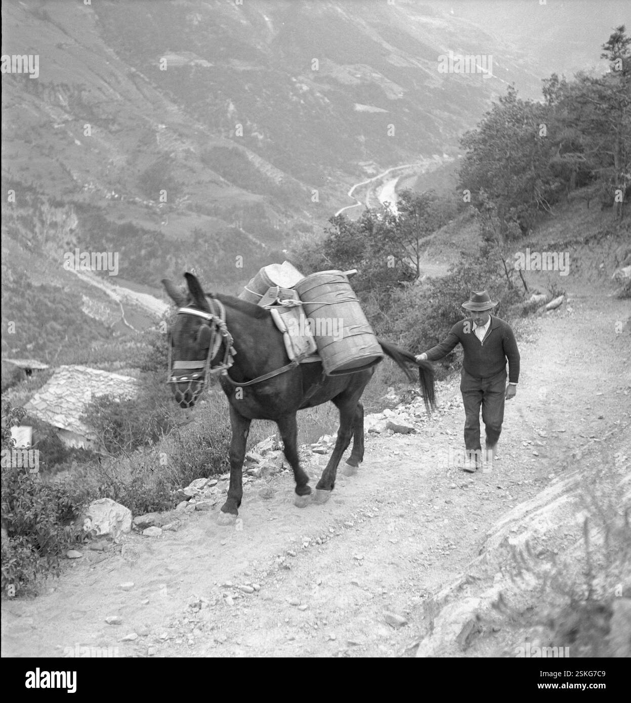 Bauer mit esel Black and White Stock Photos & Images - Alamy