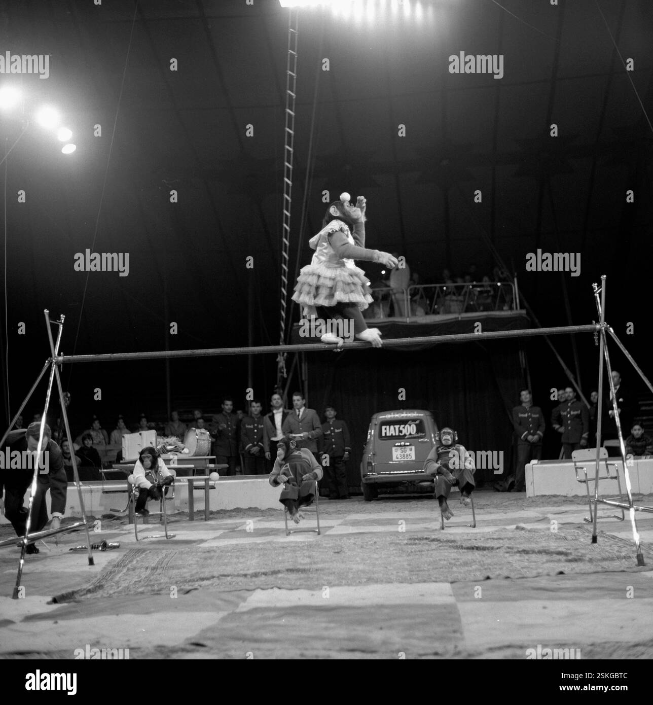 Circus Grock 1953: Schimpanse auf Hochseil#Circus Grock 1953 ...