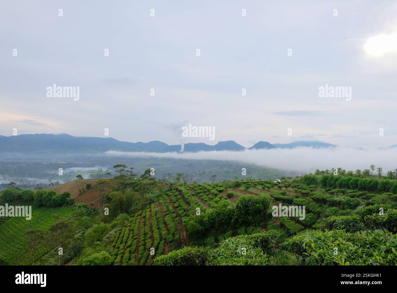 Beautiful landscape view of Pangalengan, Bandung Regency, Indonesia ...