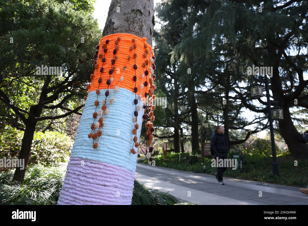 Trees in a park are put on brightly colored "sweaters" for winter in ...