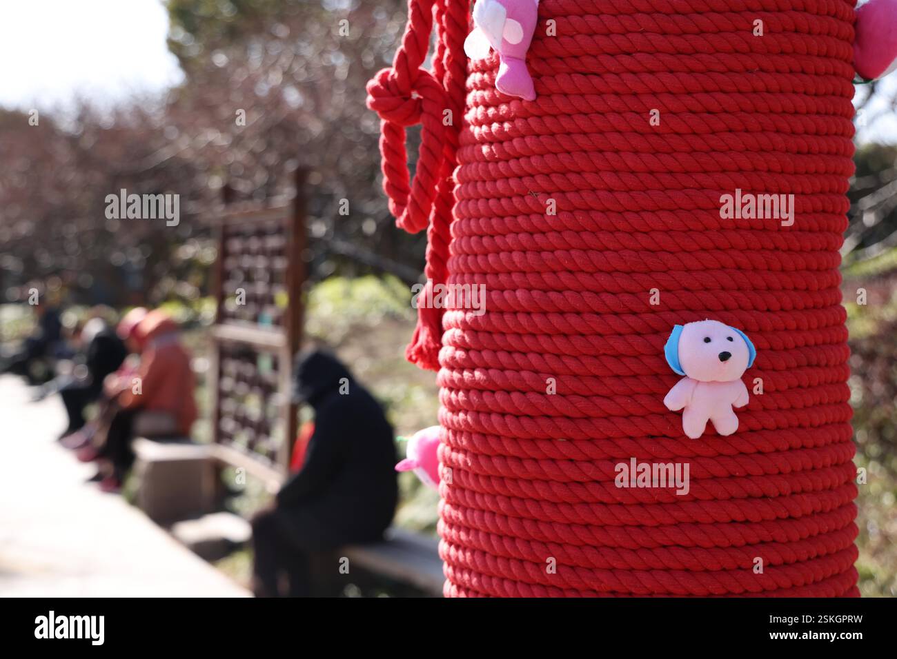 Trees in a park are put on brightly colored "sweaters" for winter in ...