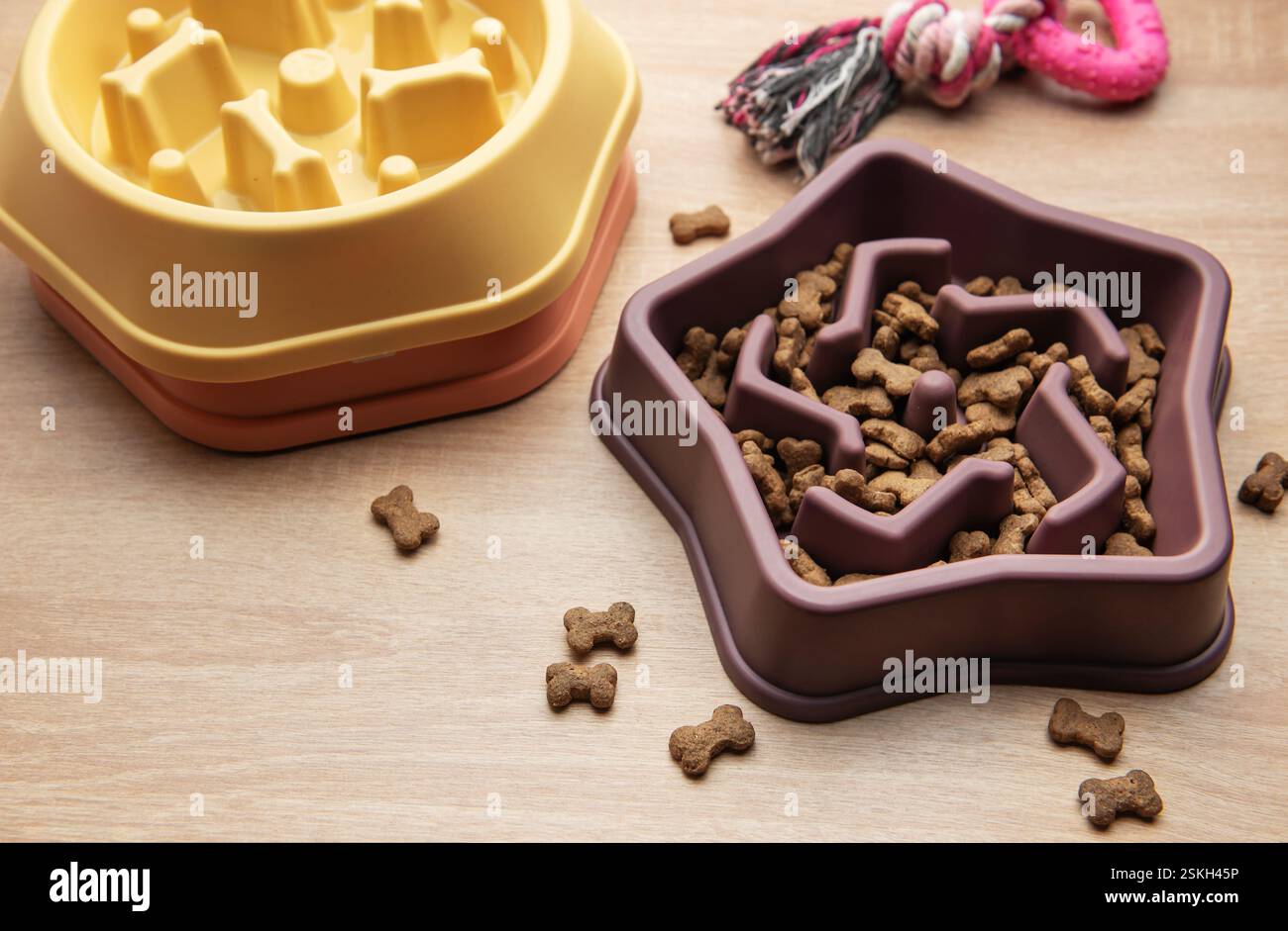 Slow feeding bowl filled with dry food, promoting healthy eating habits ...