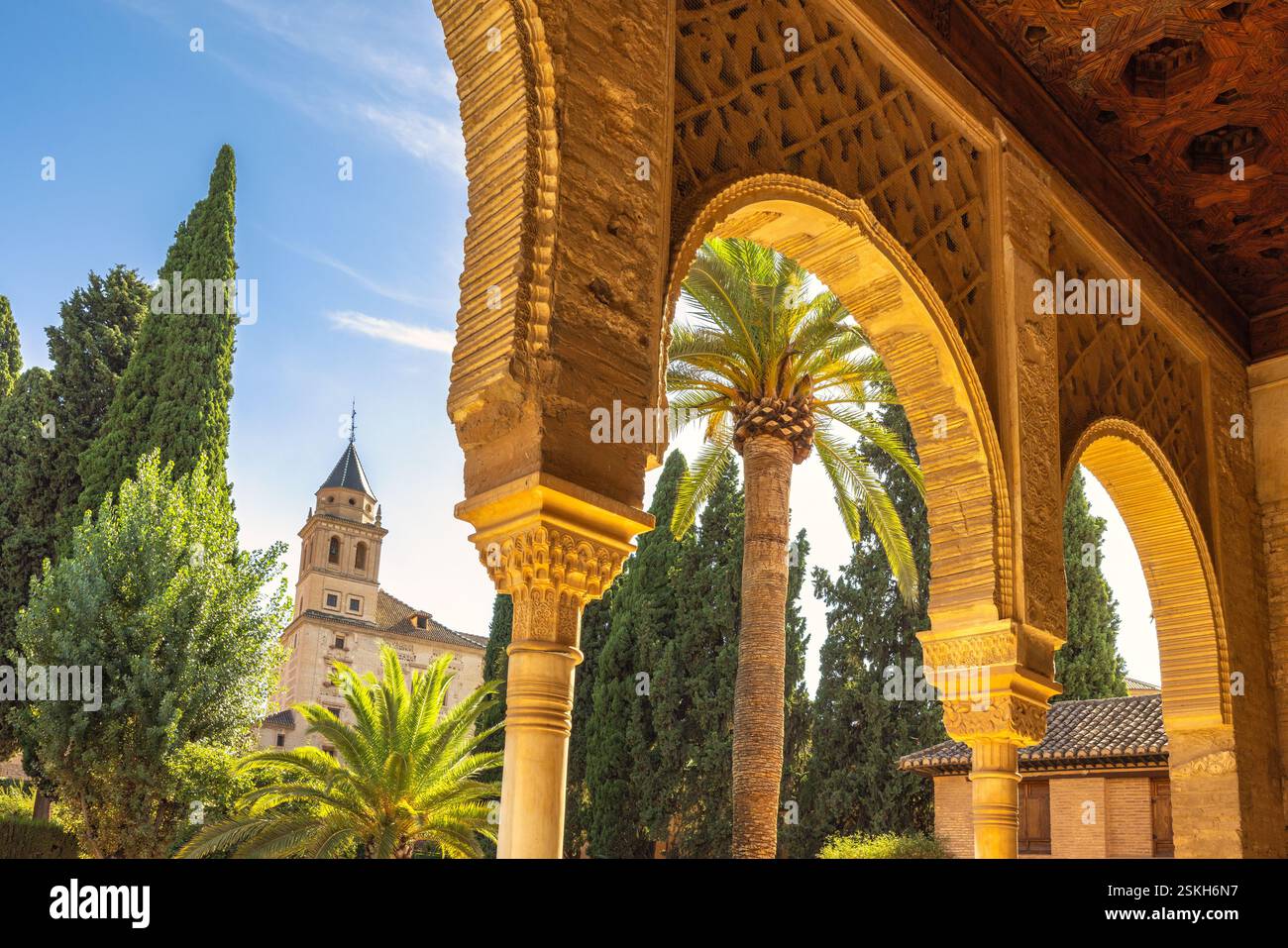 An arched entryway frames lush greenery, a tall palm tree, and a ...