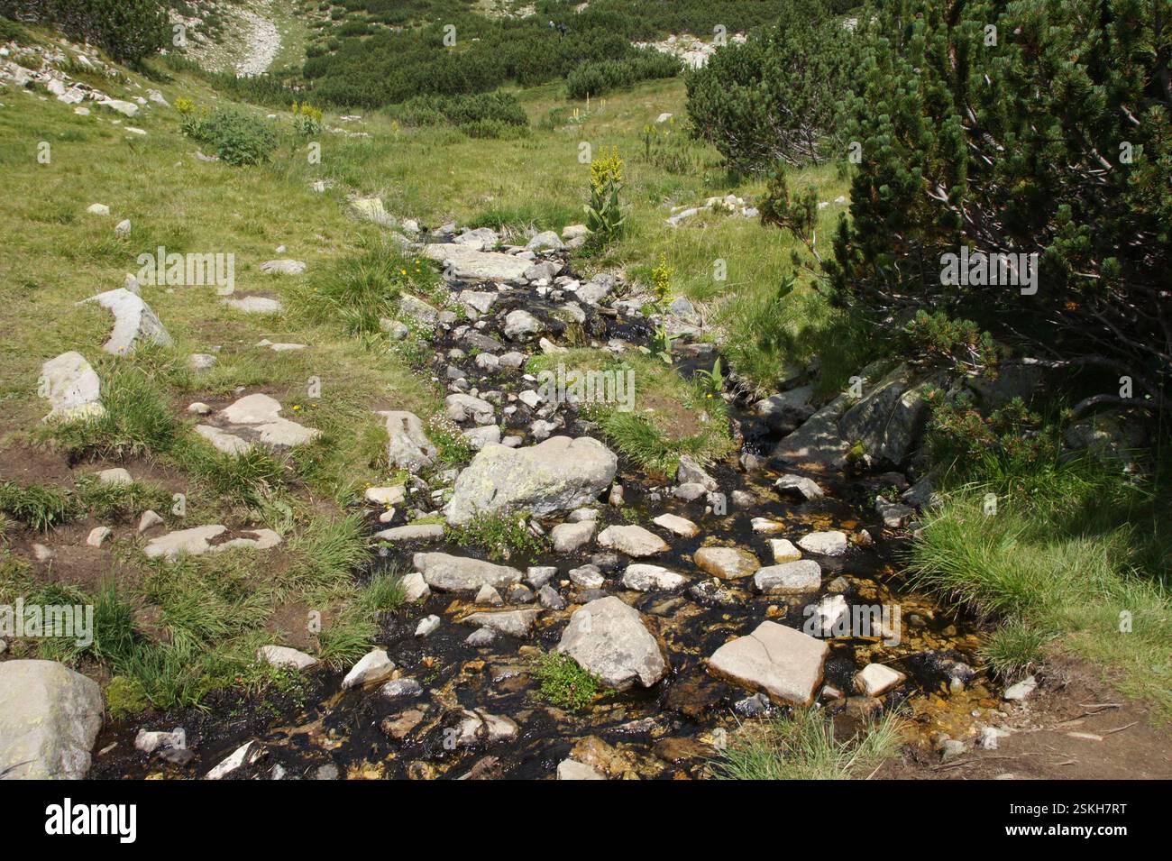 Stream flowing through a rocky landscape. Lush green meadows surround ...