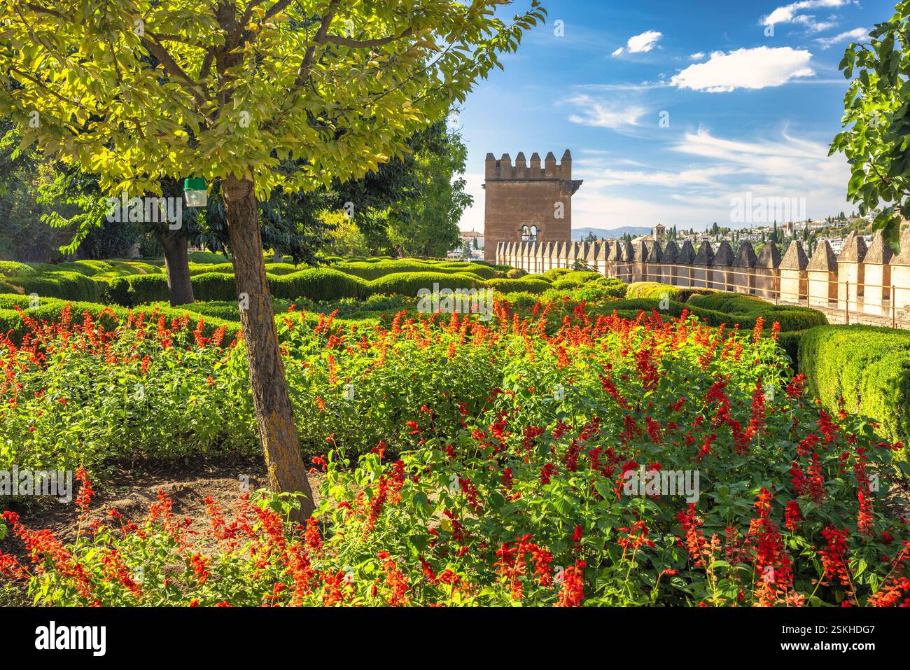 Alhambra complex in Granada town, Andalusia, Spain. Vibrant flowers ...
