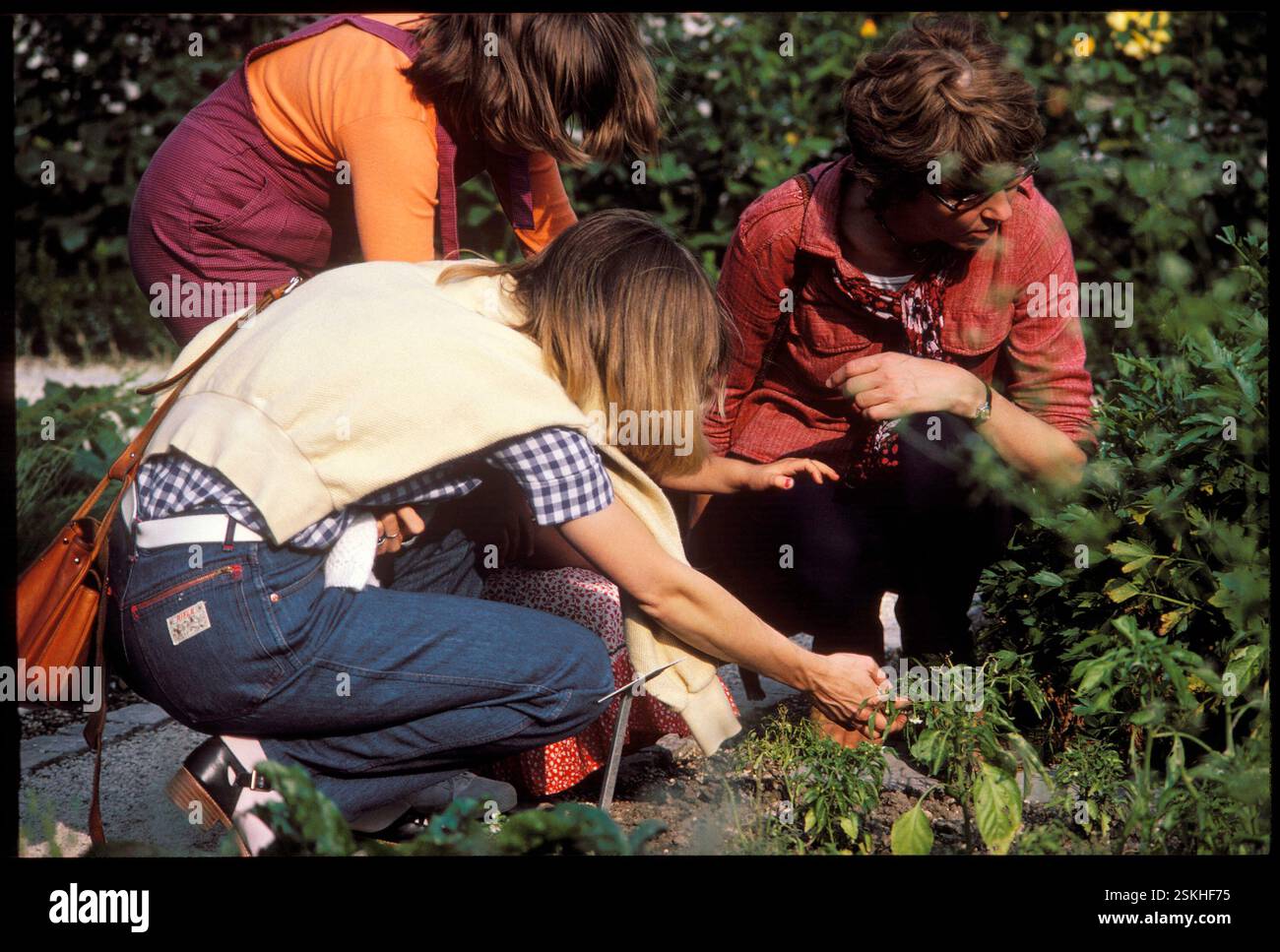 Grün 80" in Basel: Besucherinnen betrachten Pflanzen#"Grün 80" in Basel: Female visitors looking ...