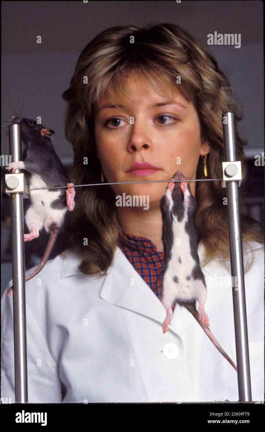 Valium-Test mit Ratten, Laborratte, 1987#Valium test on rats, 1987 ...