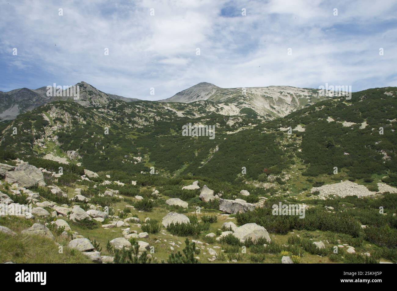 Pirin Mountains, a majestic mountain range in BULGARIA, boasts rocky ...