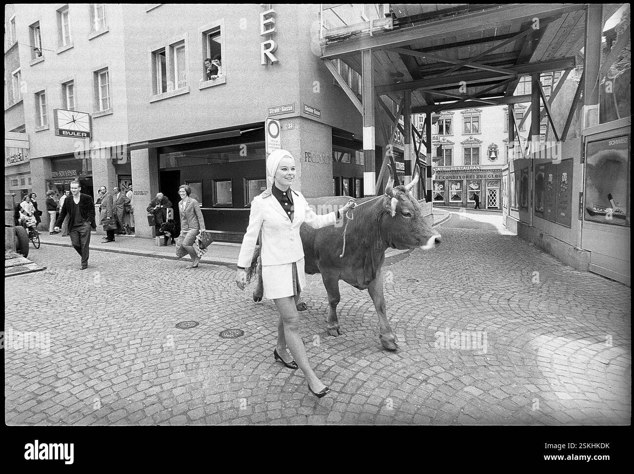 Elke Sommer, Sängerin und Schauspielerin, beim Melken einer Kuh, 1969# ...